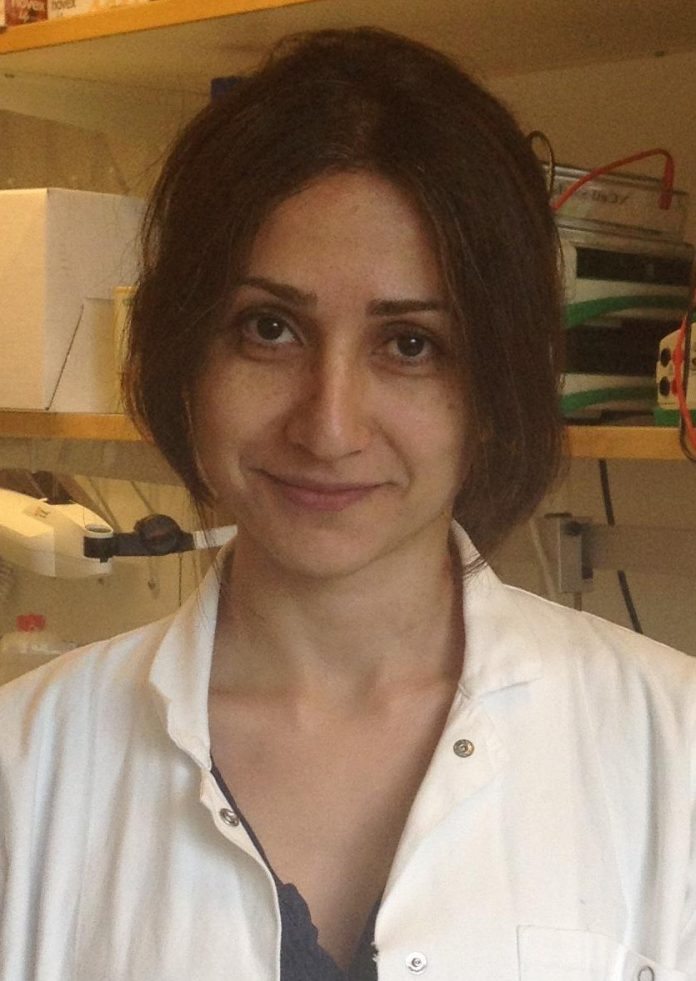 Protein kan påverka känsligheten för cellgifter - LäkemedelsVärlden